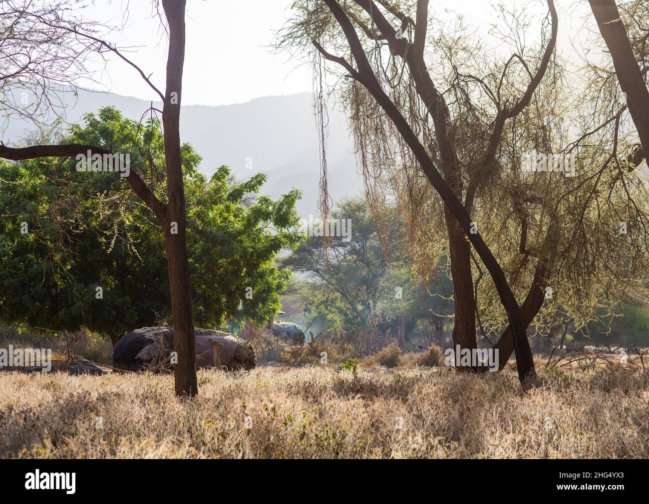Kenya 2021 145 hi-res stock photography and images - Alamy