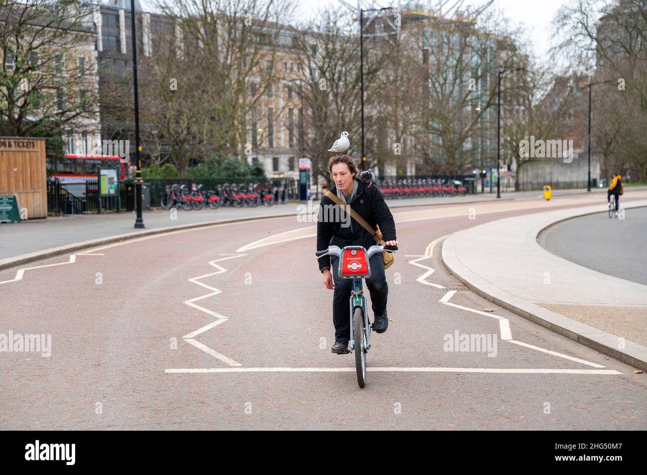 Man riding his bicycle around London Hyde park with a seagull on his ...