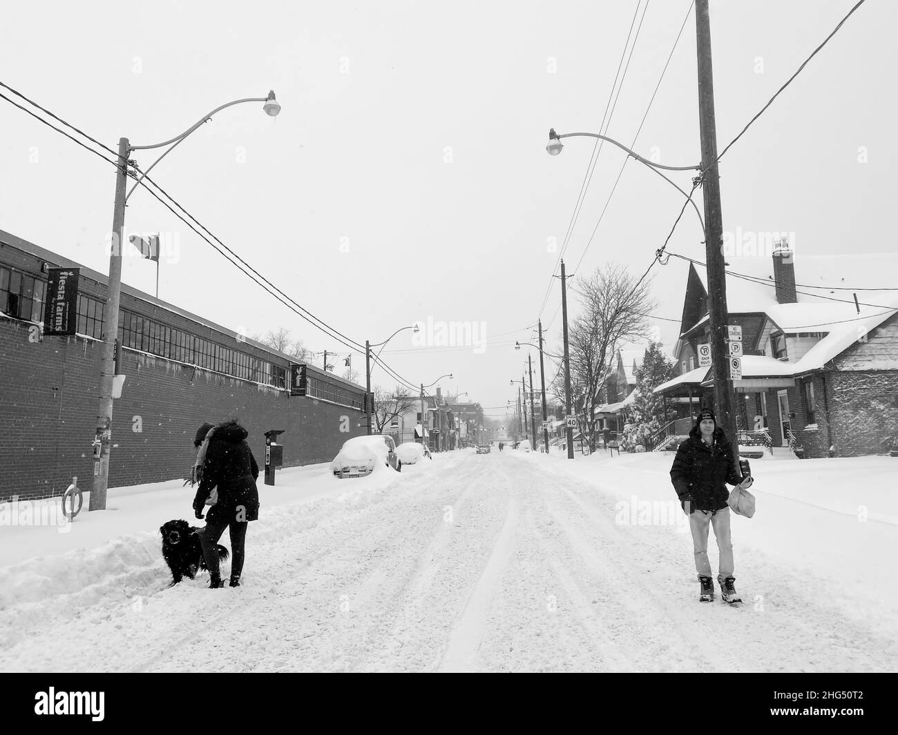 Historic winter storm in Toronto, Canada. The snowfall recorded at ...