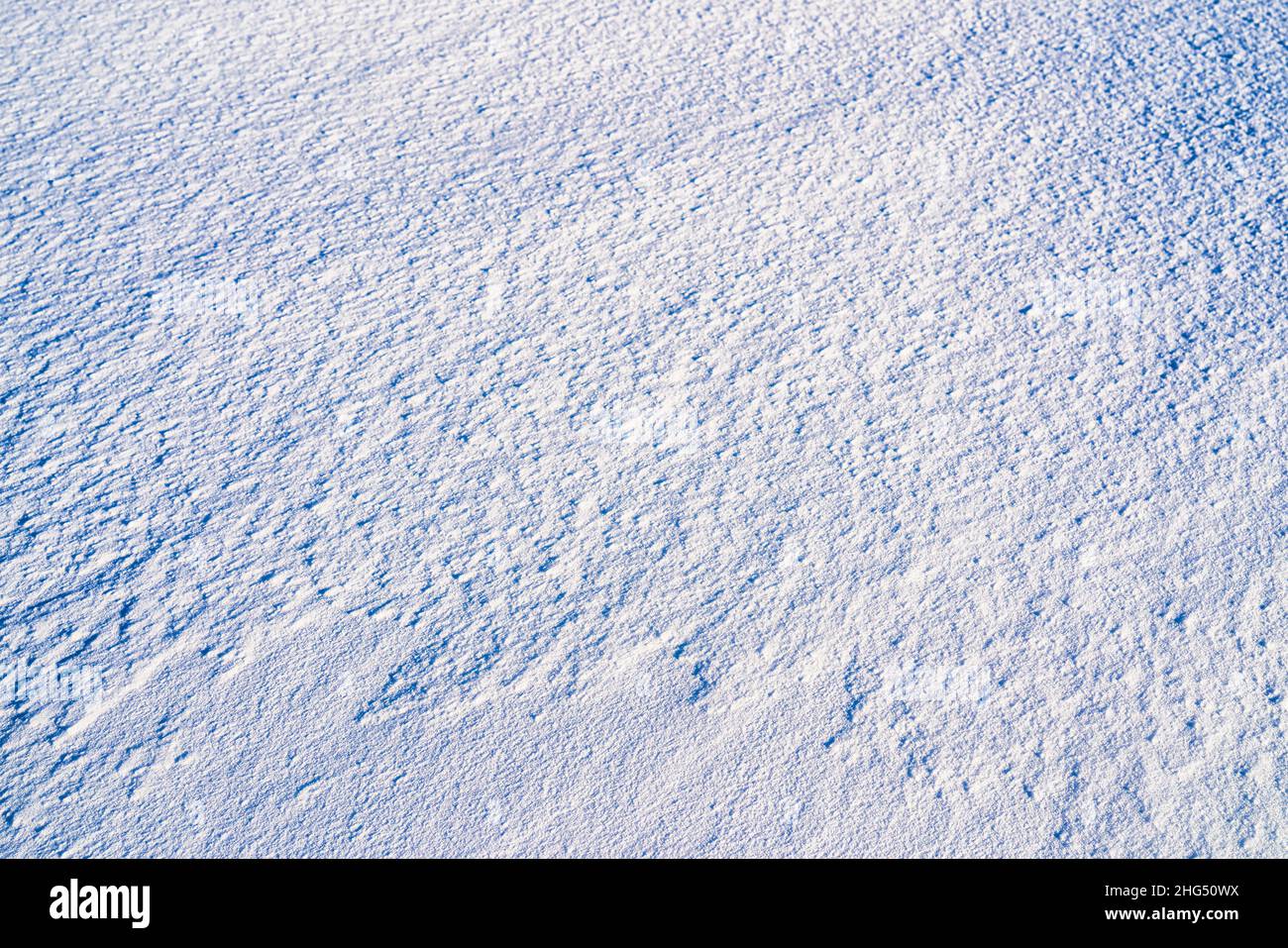 Texture of snow illuminated by sunlight. Winter background Stock Photo ...