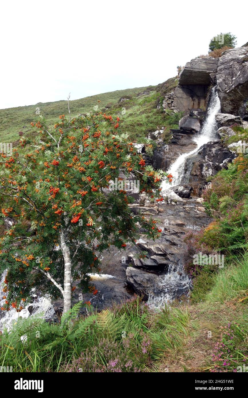 Hope beck hi-res stock photography and images - Alamy