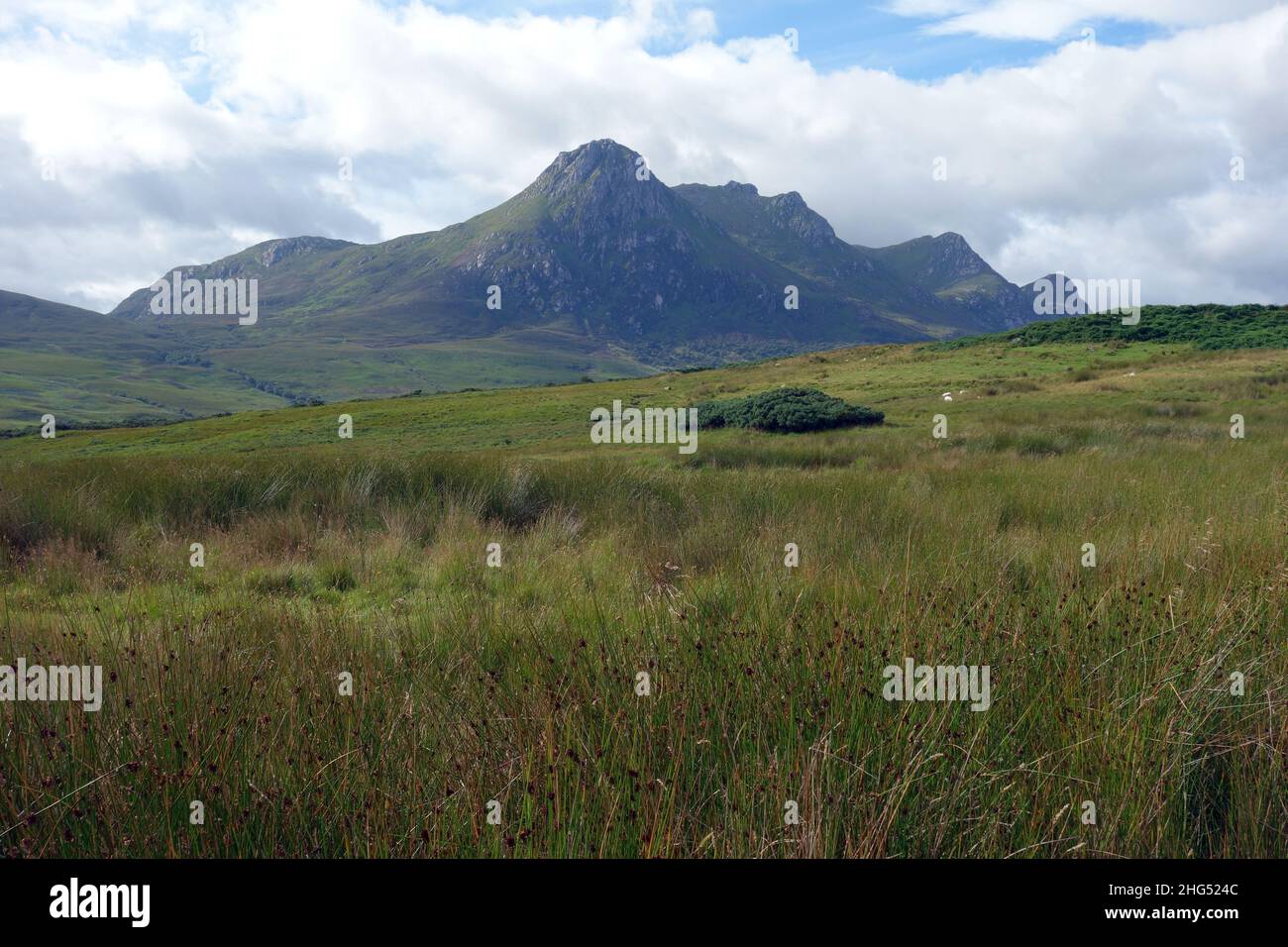 The Scottish Mountain Range Corbett 'Ben Loyal' from the Track to ...