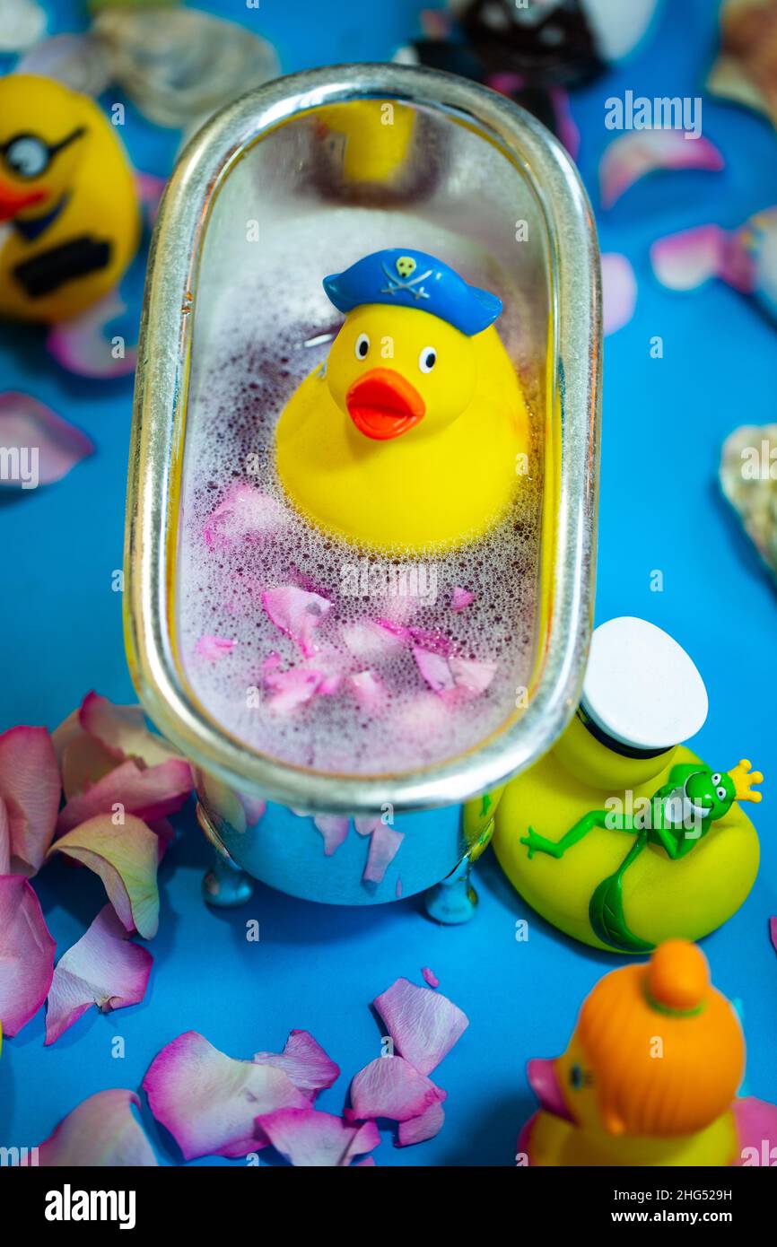 Rubber duck in the bathtub, colorful background with shells, rose ...