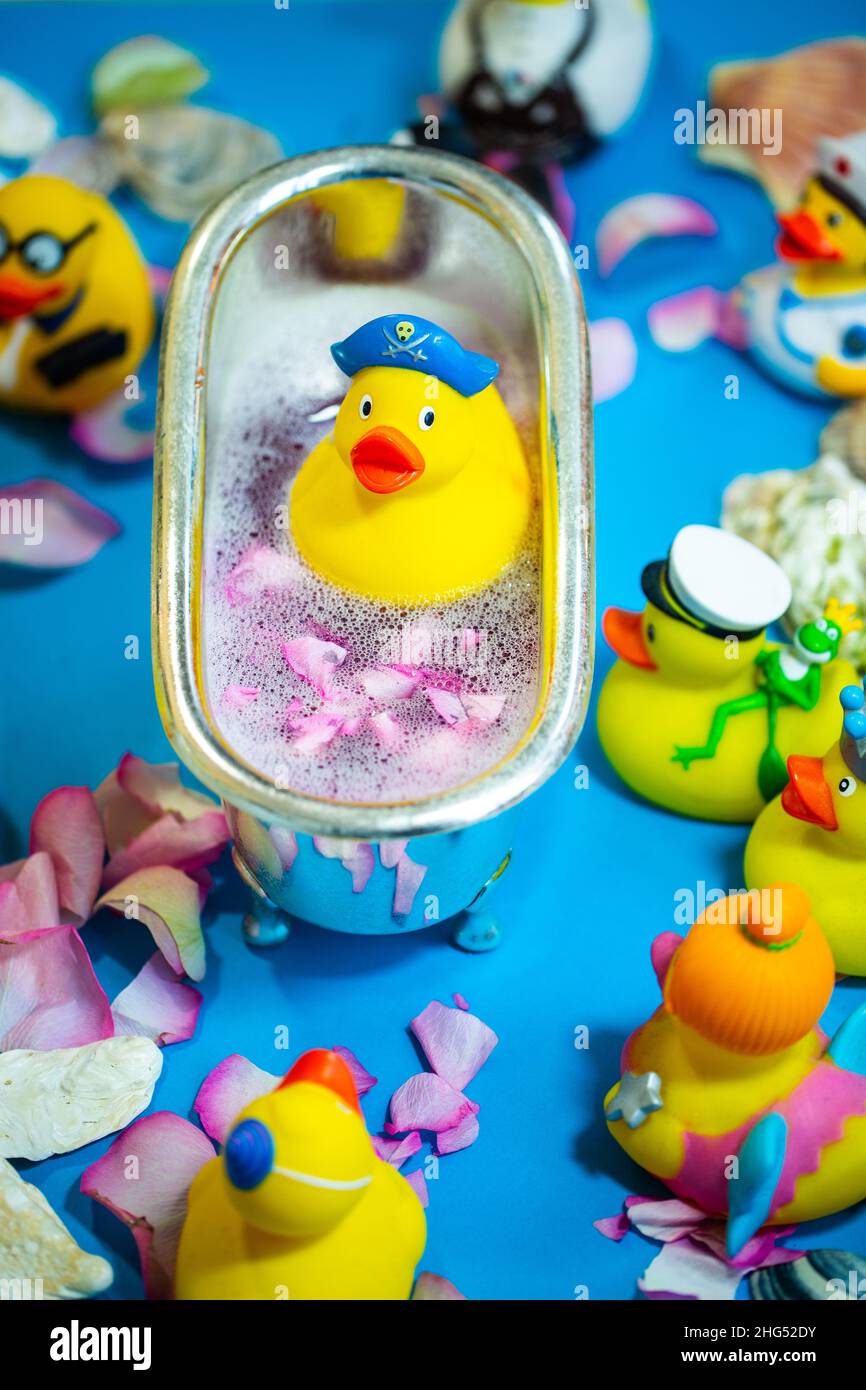Rubber duck in the bathtub, colorful background with shells, rose ...