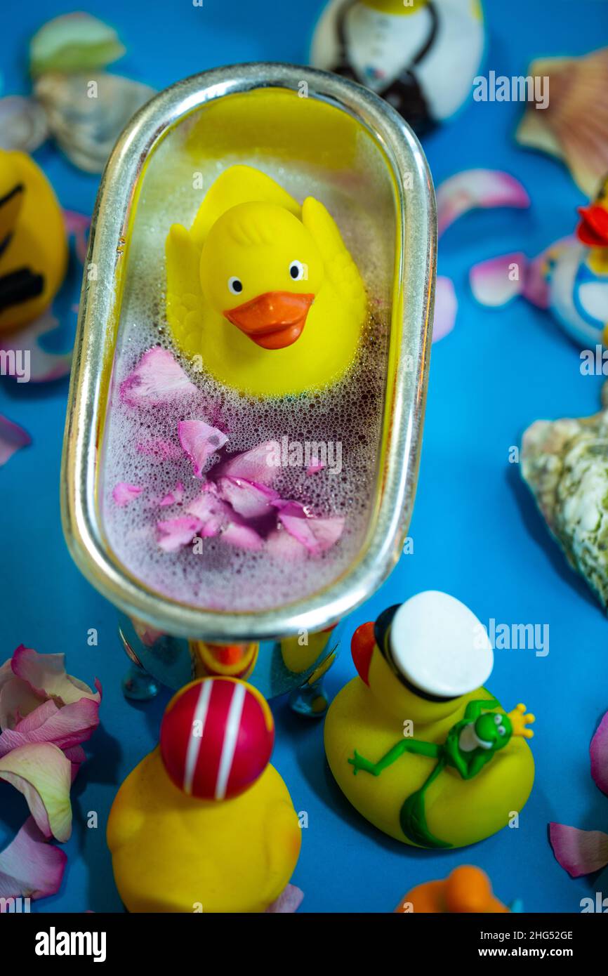 Rubber duck in the bathtub, colorful background with shells, rose ...