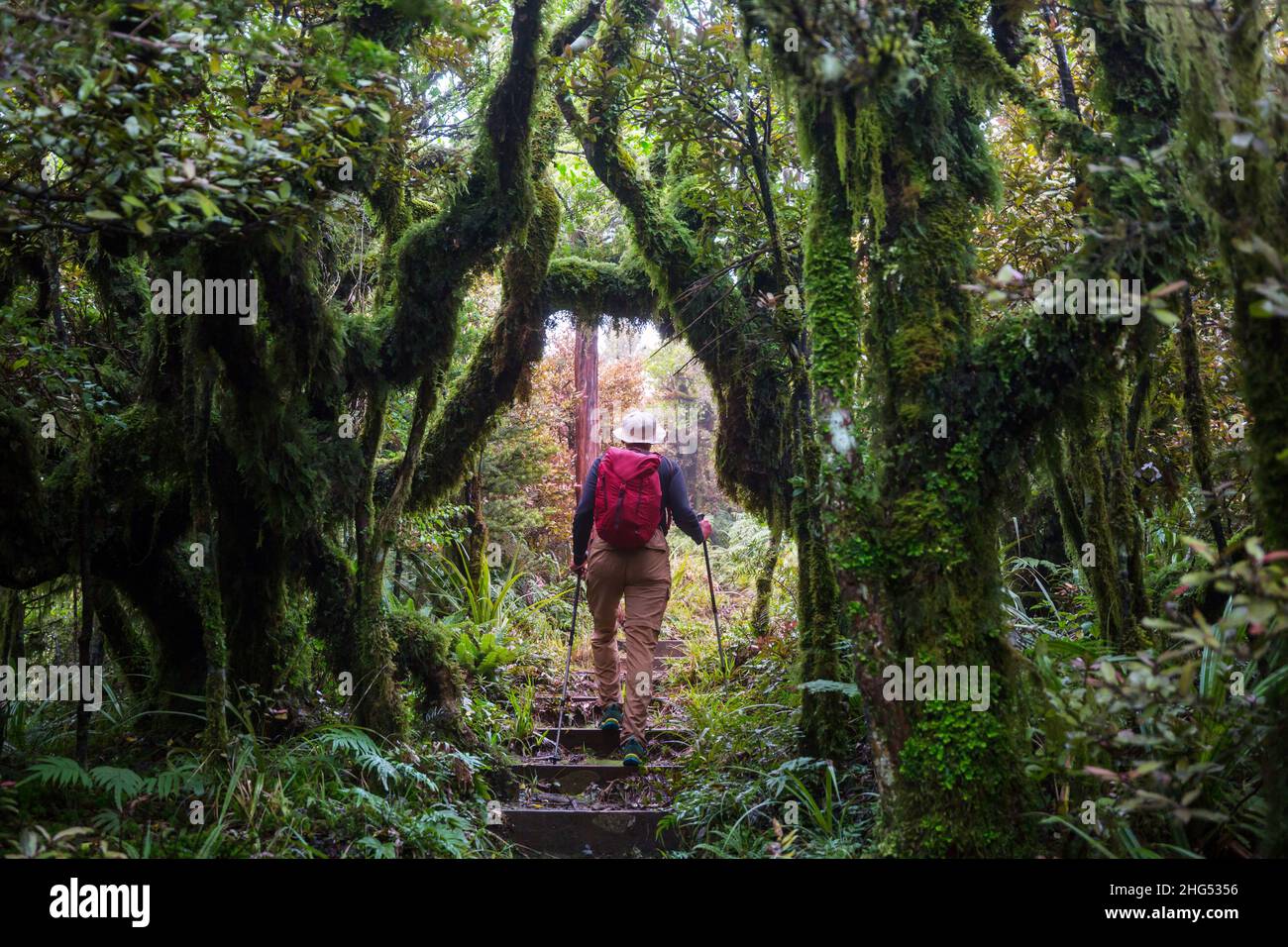 Trampers bridge hi-res stock photography and images - Alamy