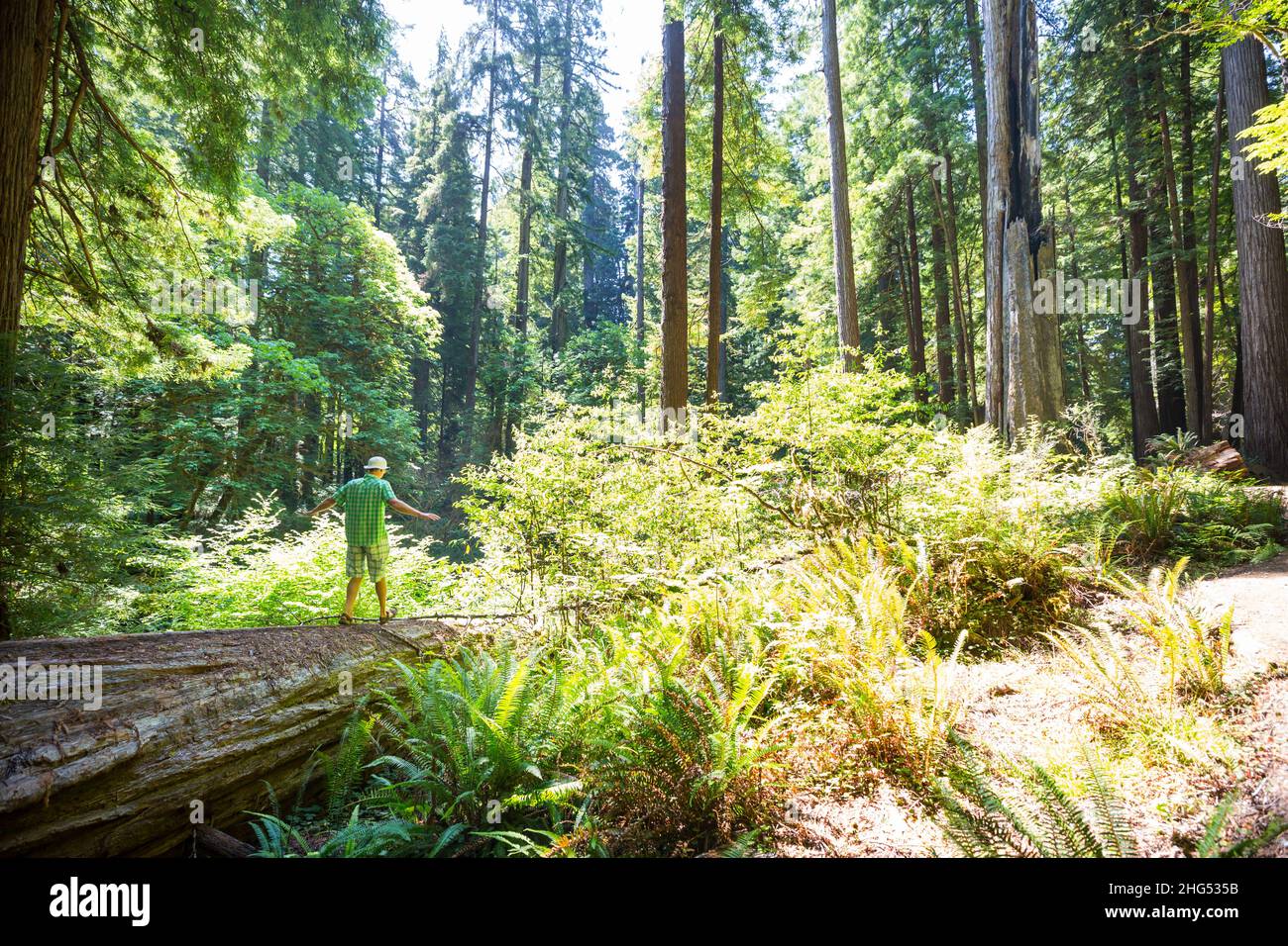Tallest men hi-res stock photography and images - Alamy