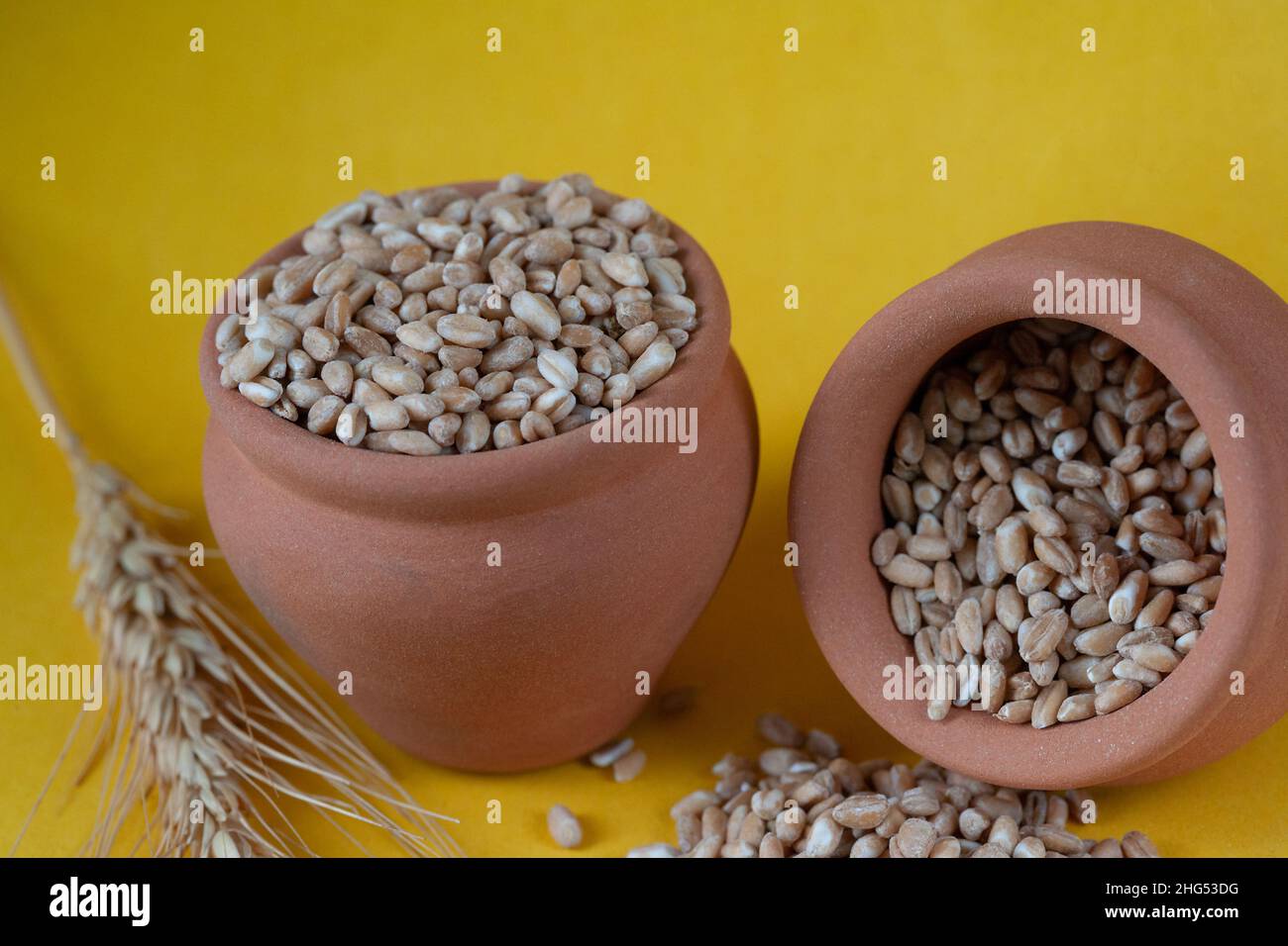 Hulled wheat hi-res stock photography and images - Alamy