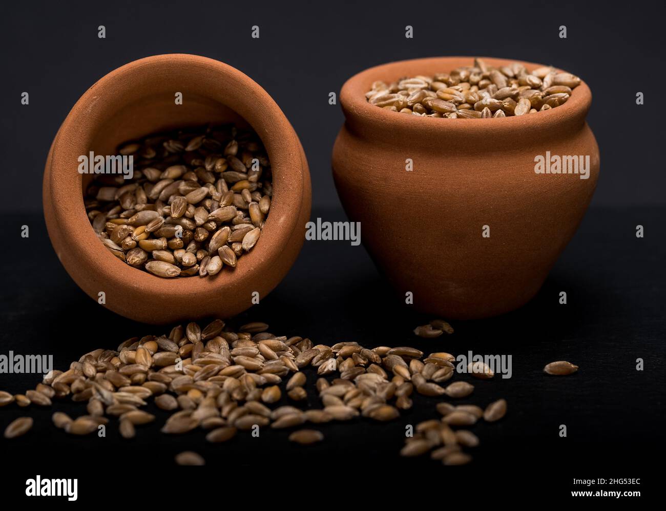 Emmer wheat or hulled wheat in the pots Stock Photo - Alamy