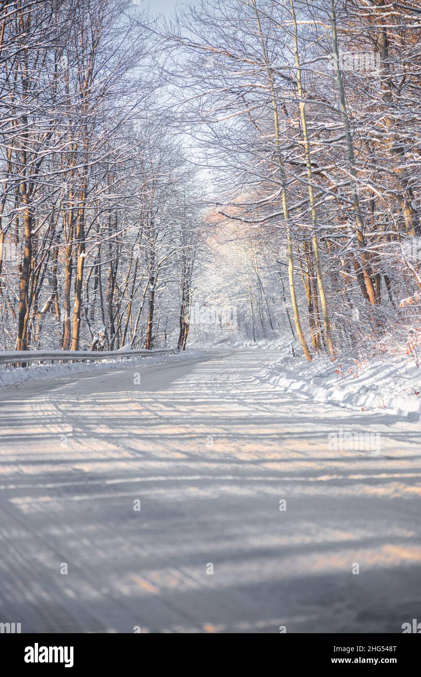 Beautiful empty winter road after the snowfall. Long road ahead. Travel ...