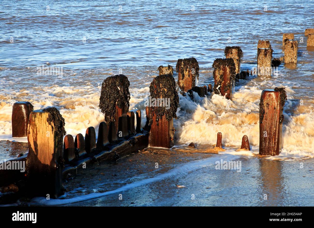 An old eroding timber breakwater sea defence on the North Norfolk coast ...