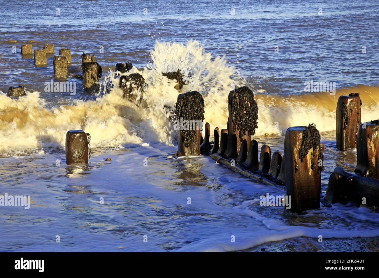 Wave breaking on an old timber breakwater sea defence on the North ...