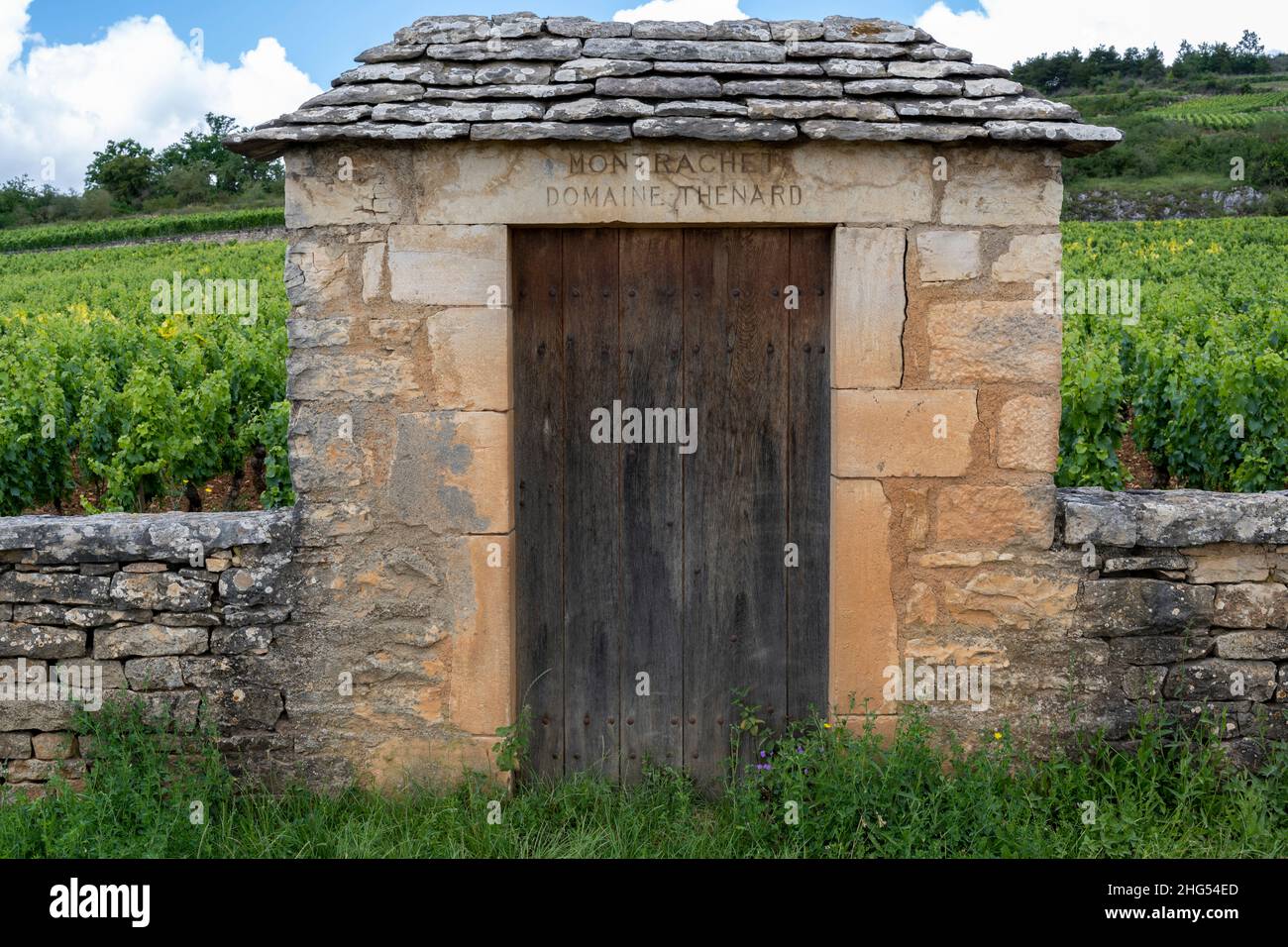Chassagne-Montrachet, France - June 29, 2020: Vineyard Domaine Thenard ...