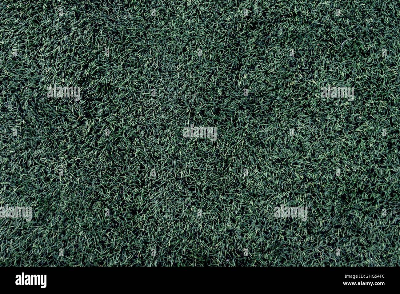 texture, background green lawn. surface a grass. Copy space Stock Photo ...