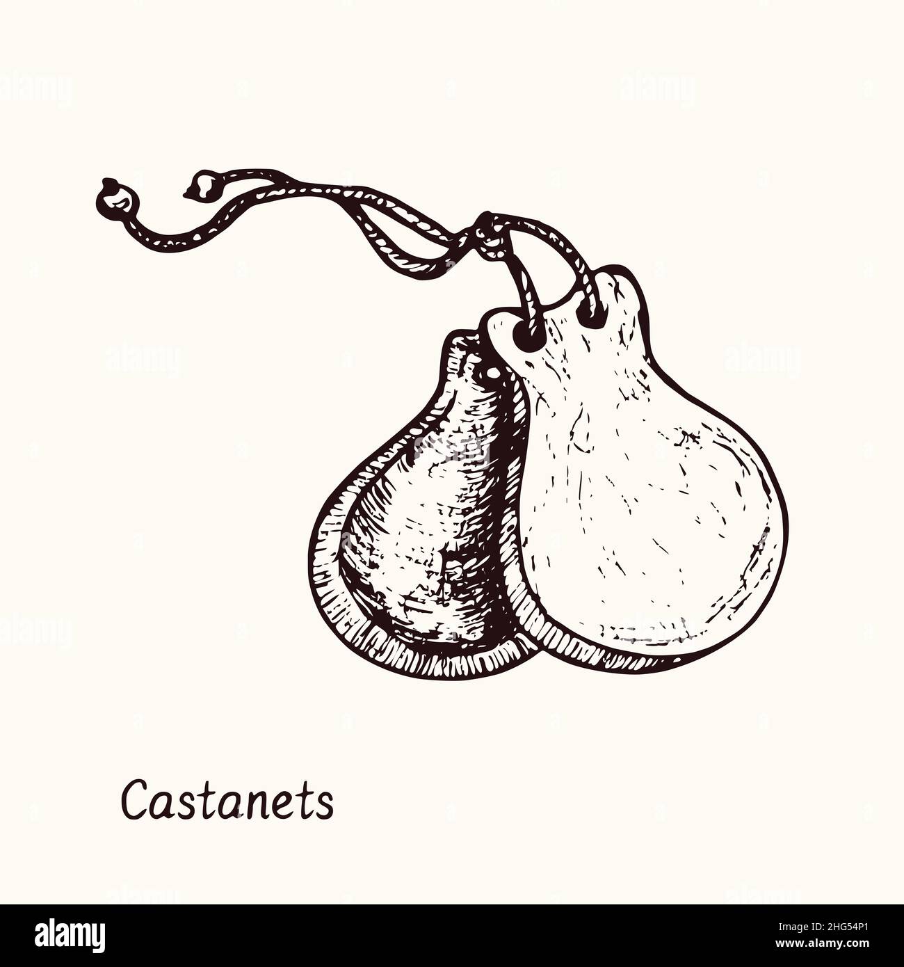 Castanets Drawing