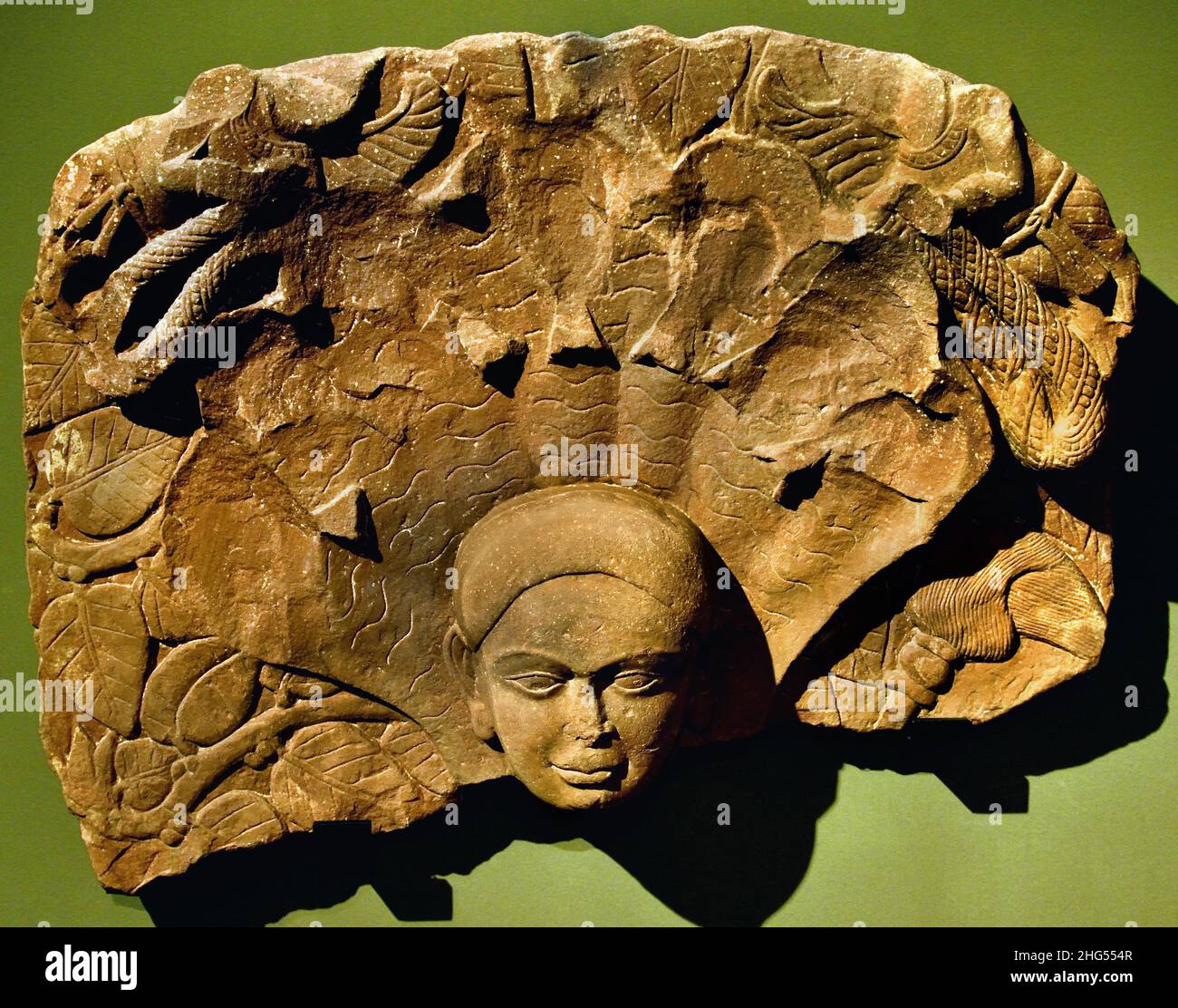 Tirthankara Parshvanatha The fragment shows the head of Parshvanatha ...