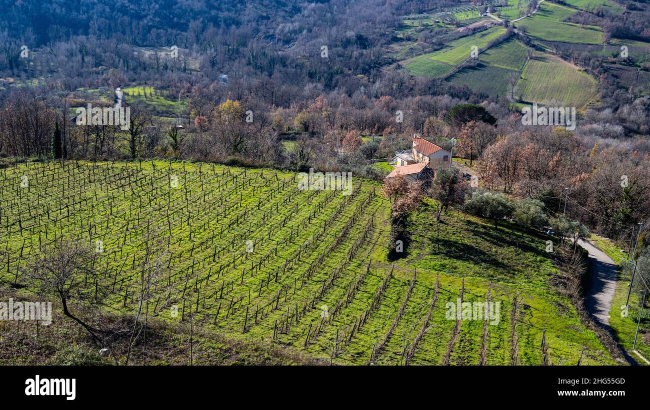 Taurasi, Avellino, Campania, Italy: panorama view of hills and ...