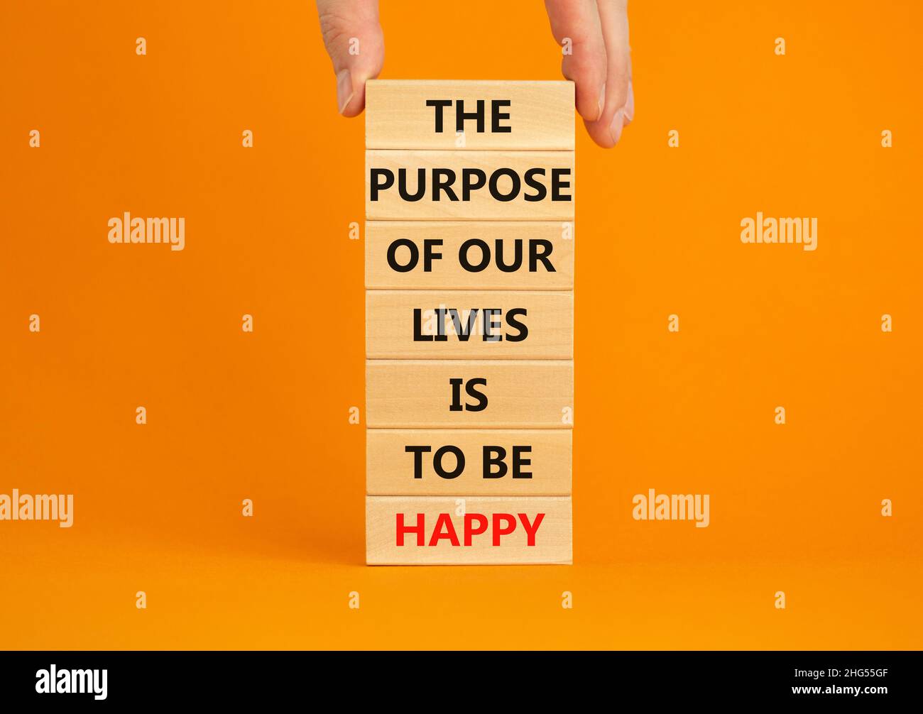 Purpose of happy lives symbol. Wooden blocks with words The purpose of ...