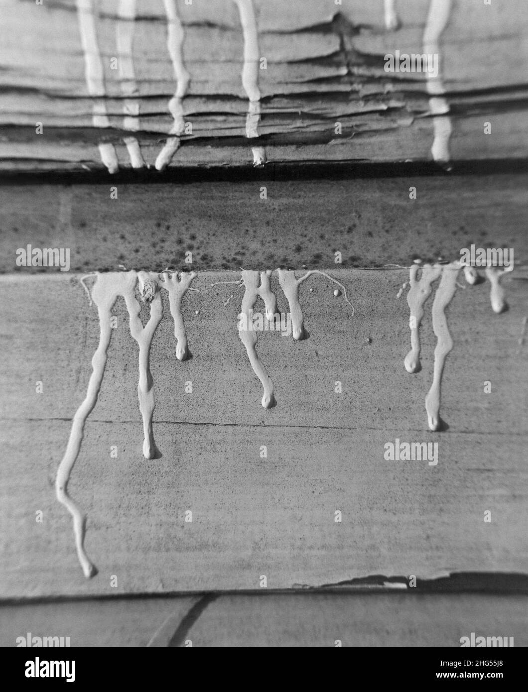 Paint dripping Black and White Stock Photos & Images - Alamy