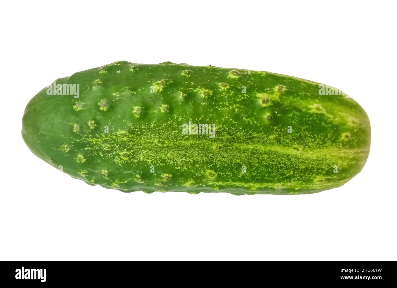 Green cucumber isolated on white background Stock Photo - Alamy