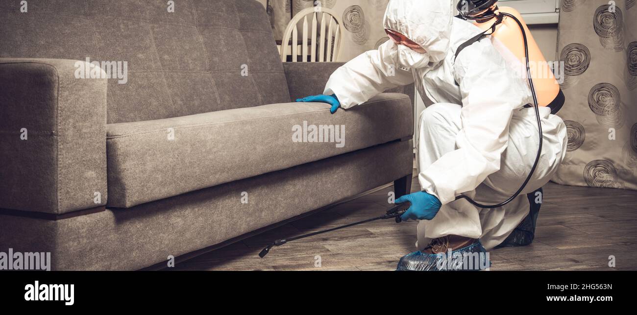 An exterminator in work clothes sprays pesticides with a spray gun ...