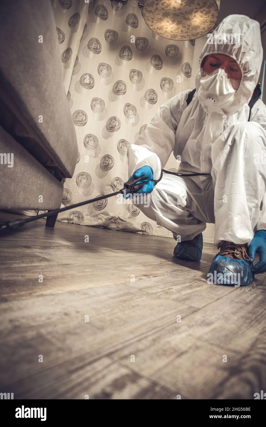 Woman sprays insecticide in home hi-res stock photography and images ...
