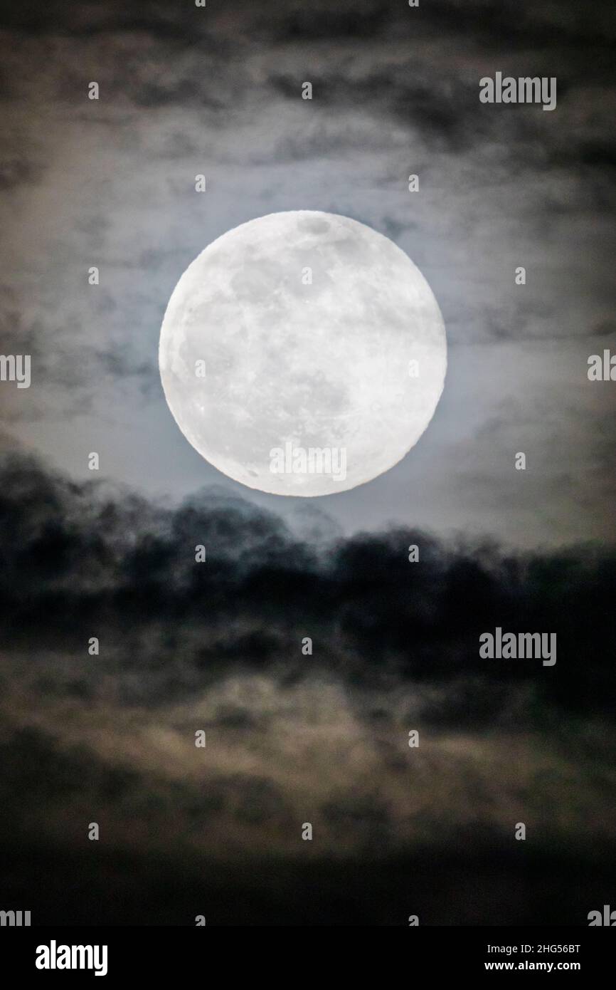 Full wolf moon hi-res stock photography and images - Alamy