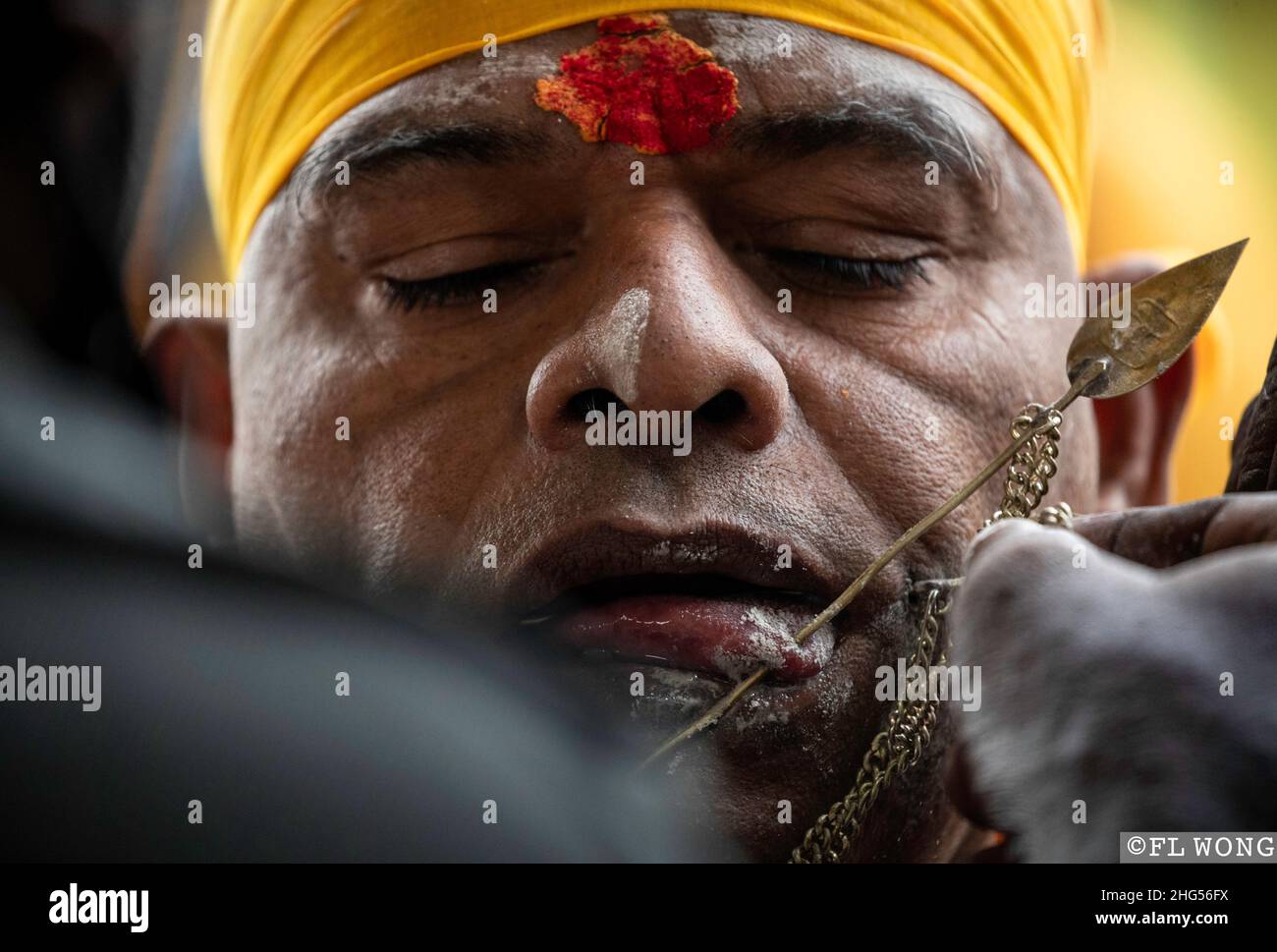 A Hindu devotee gets his mouth pierced with a metal rod before the ...