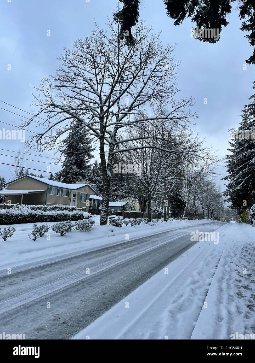 Snowy day in in December in Bellevue,WA Stock Photo - Alamy