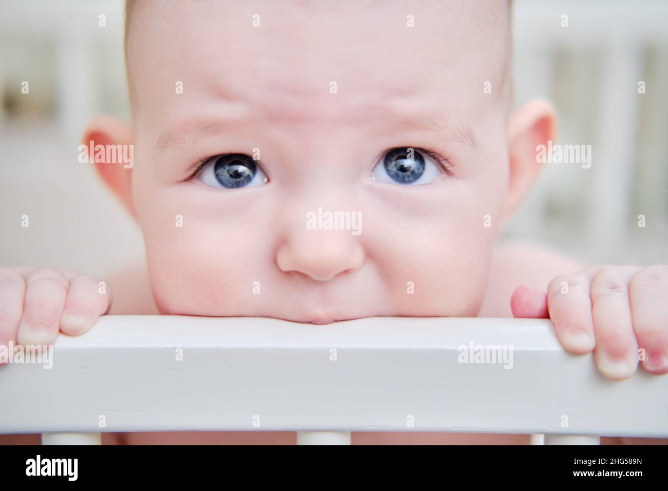 Baby gnaws at the edge crib during teething itching. Funny child ...