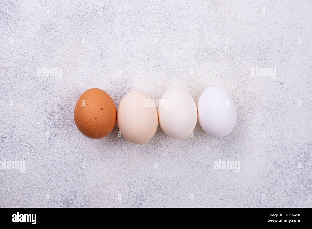 Chicken eggs gradient from light to dark Stock Photo - Alamy