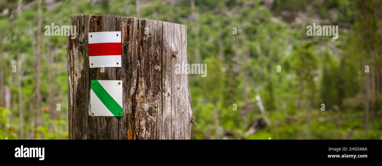 Red and Green tourist sign on a tree. Designation of tourist routes in ...