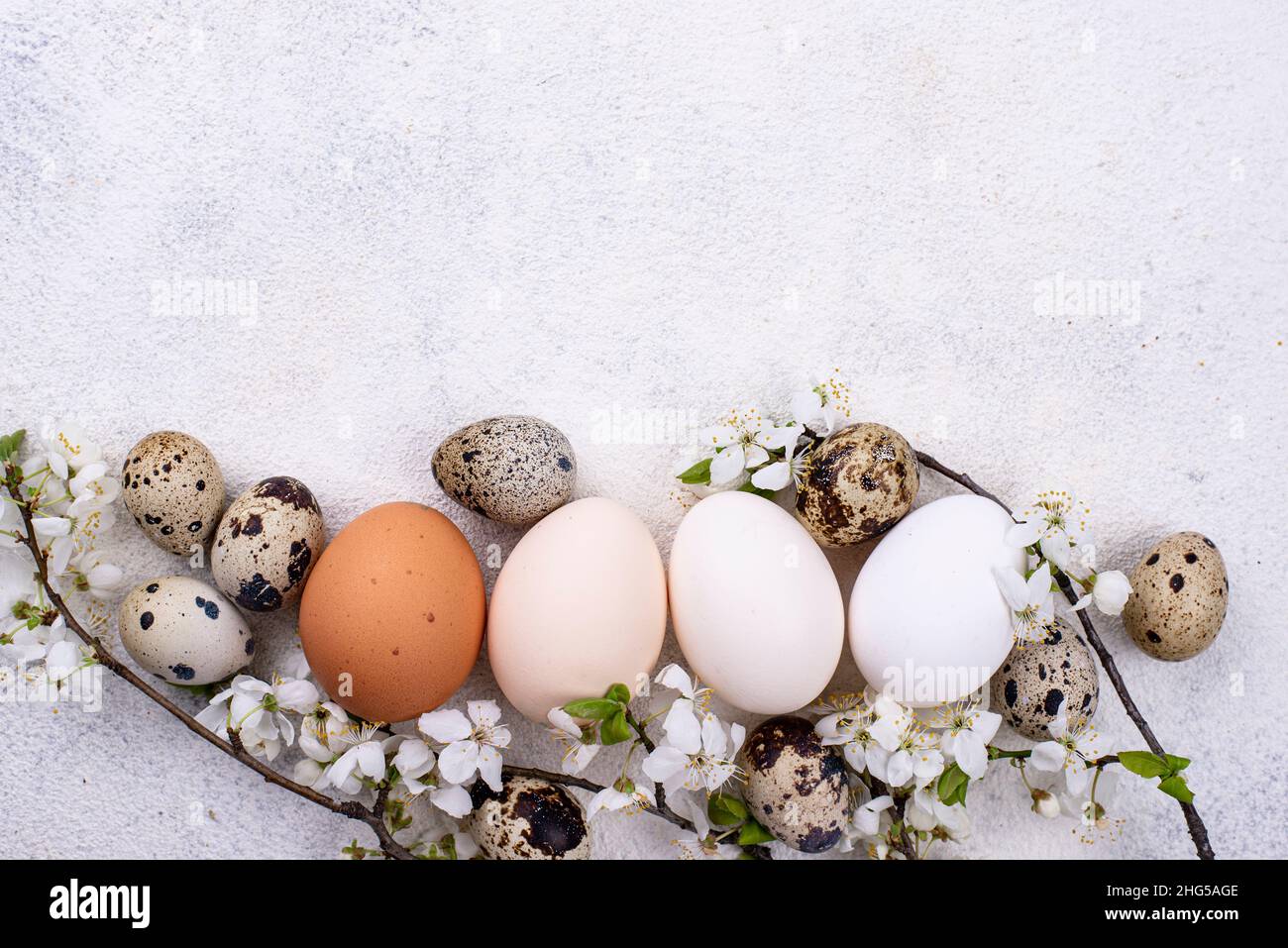 Chicken eggs gradient from light to dark Stock Photo - Alamy