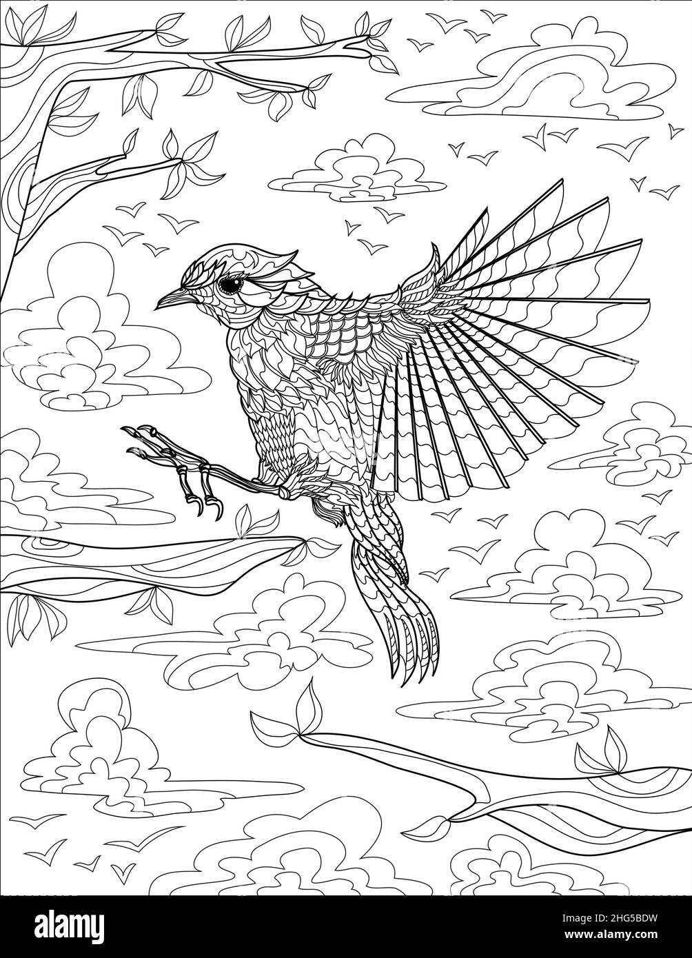 Hawk Line Drawing Landing On Tree Branch Surrounded With Clouds And ...