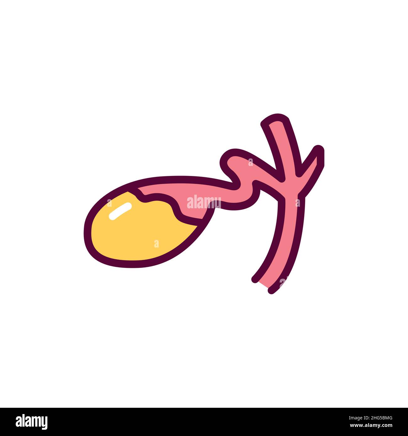 Human organ gall bladder color line icon. Isolated vector element ...