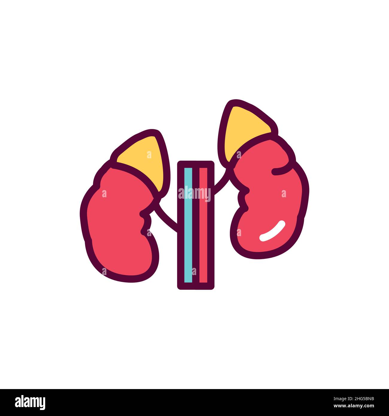 Human organ adrenal glands color line icon. Isolated vector element ...