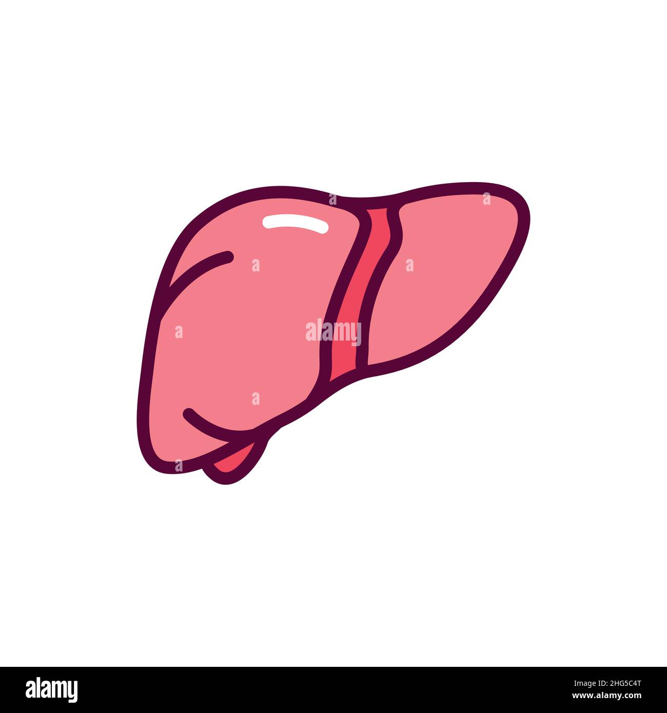 Human organ liver color line icon. Isolated vector element. Outline ...