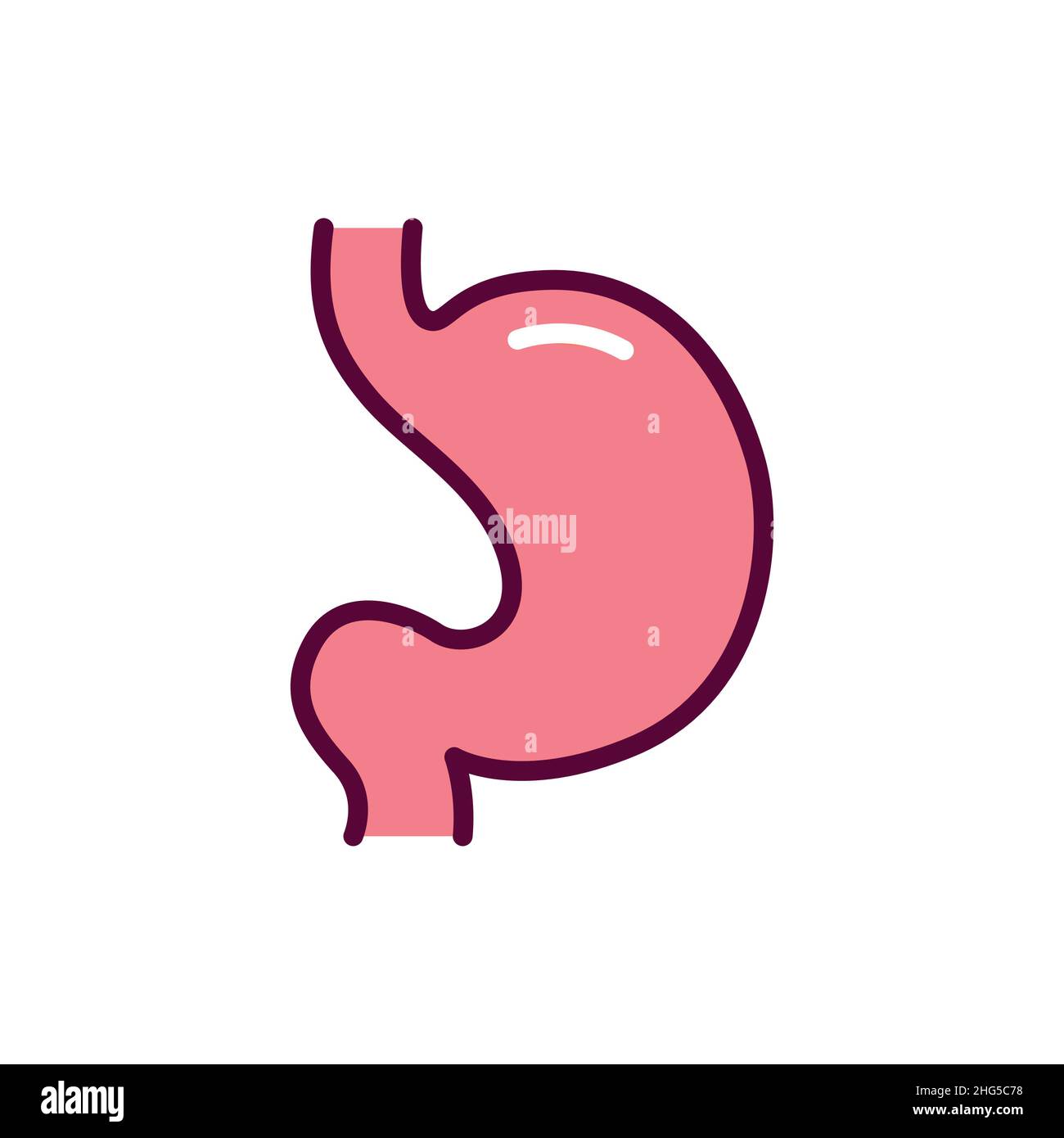 Human Organ Stomach Color Line Icon Isolated Vector Element Outline Pictogram For Web Page