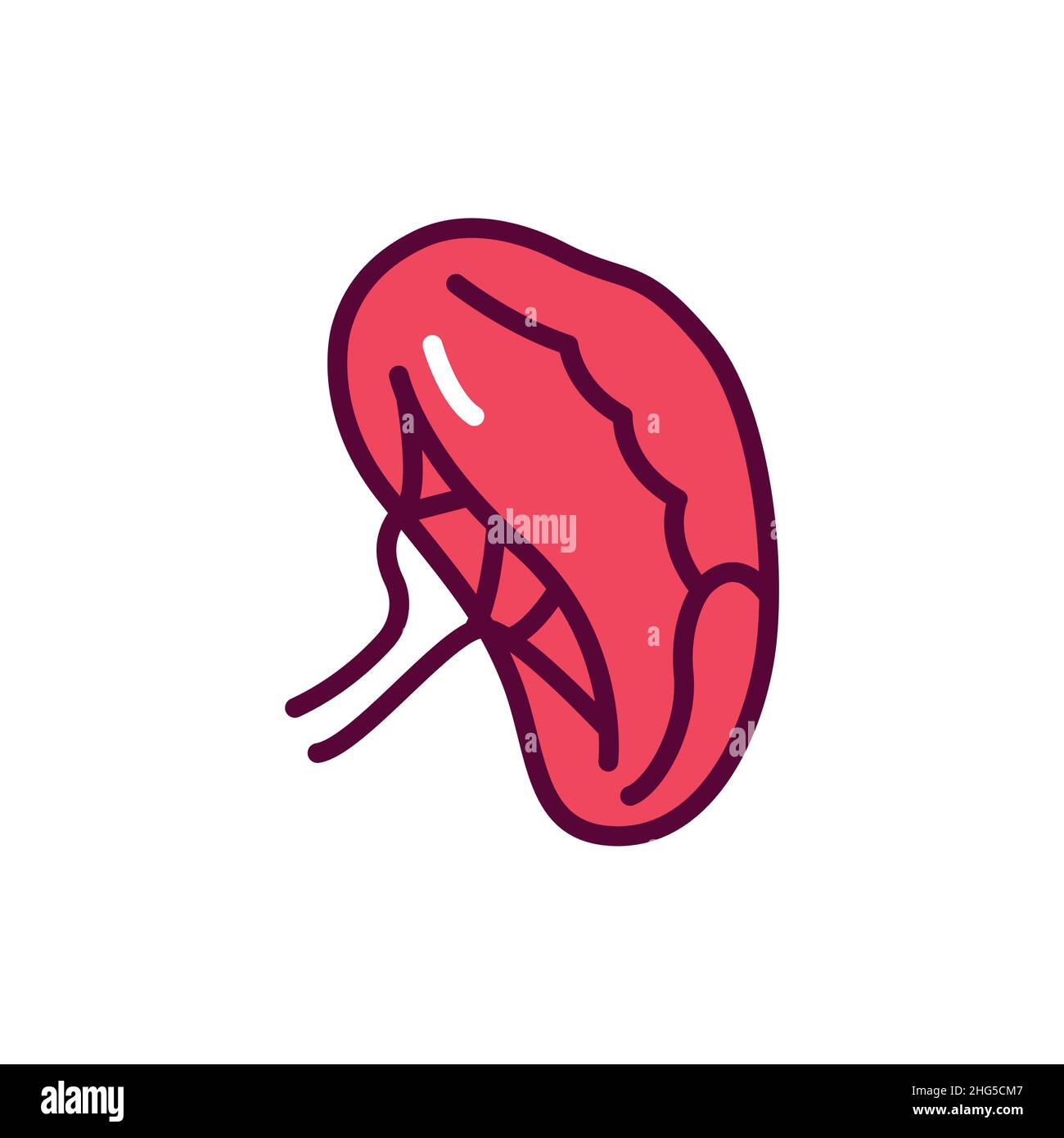 Spleen drawing hi-res stock photography and images - Alamy