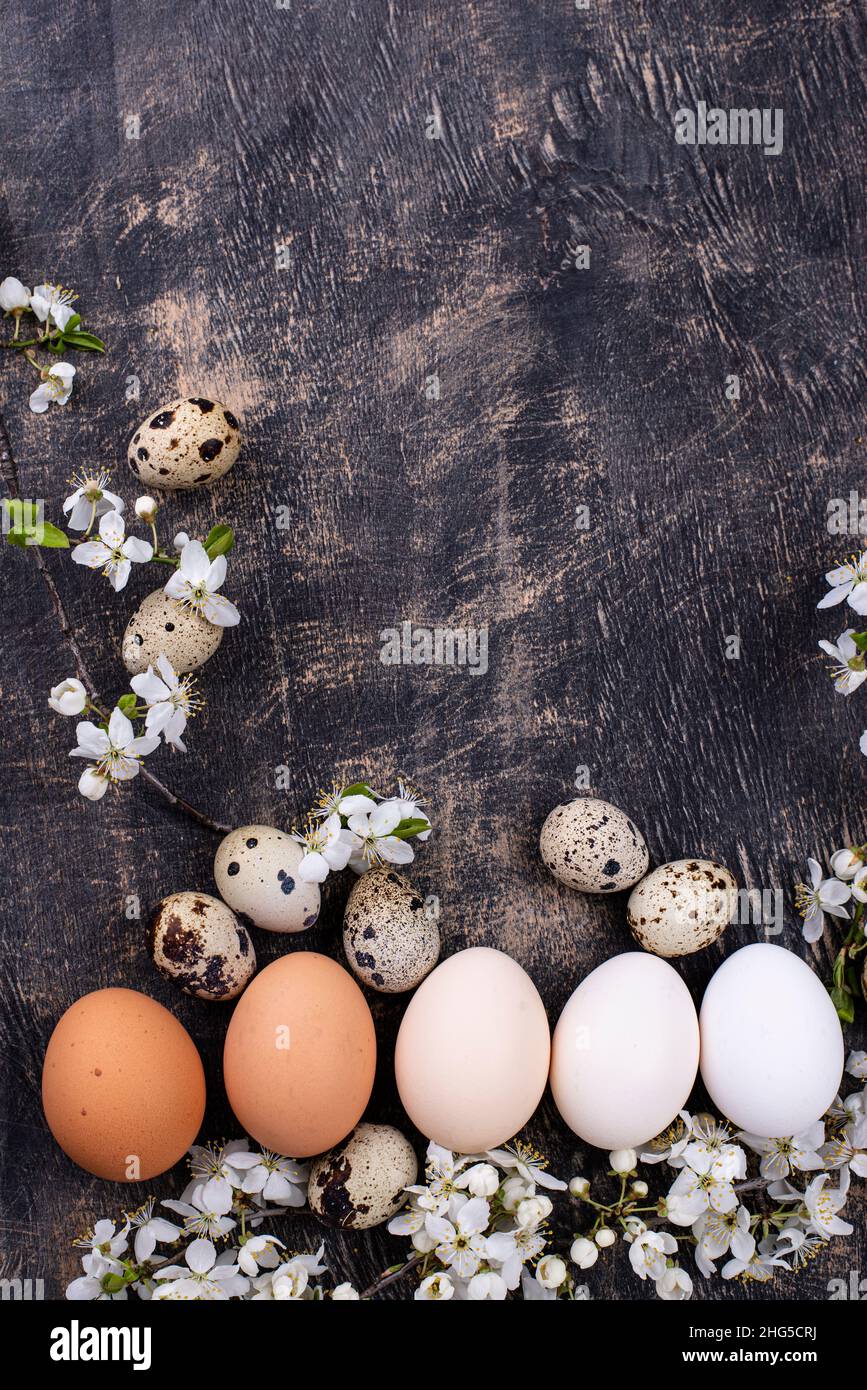 Chicken eggs gradient from light to dark Stock Photo - Alamy