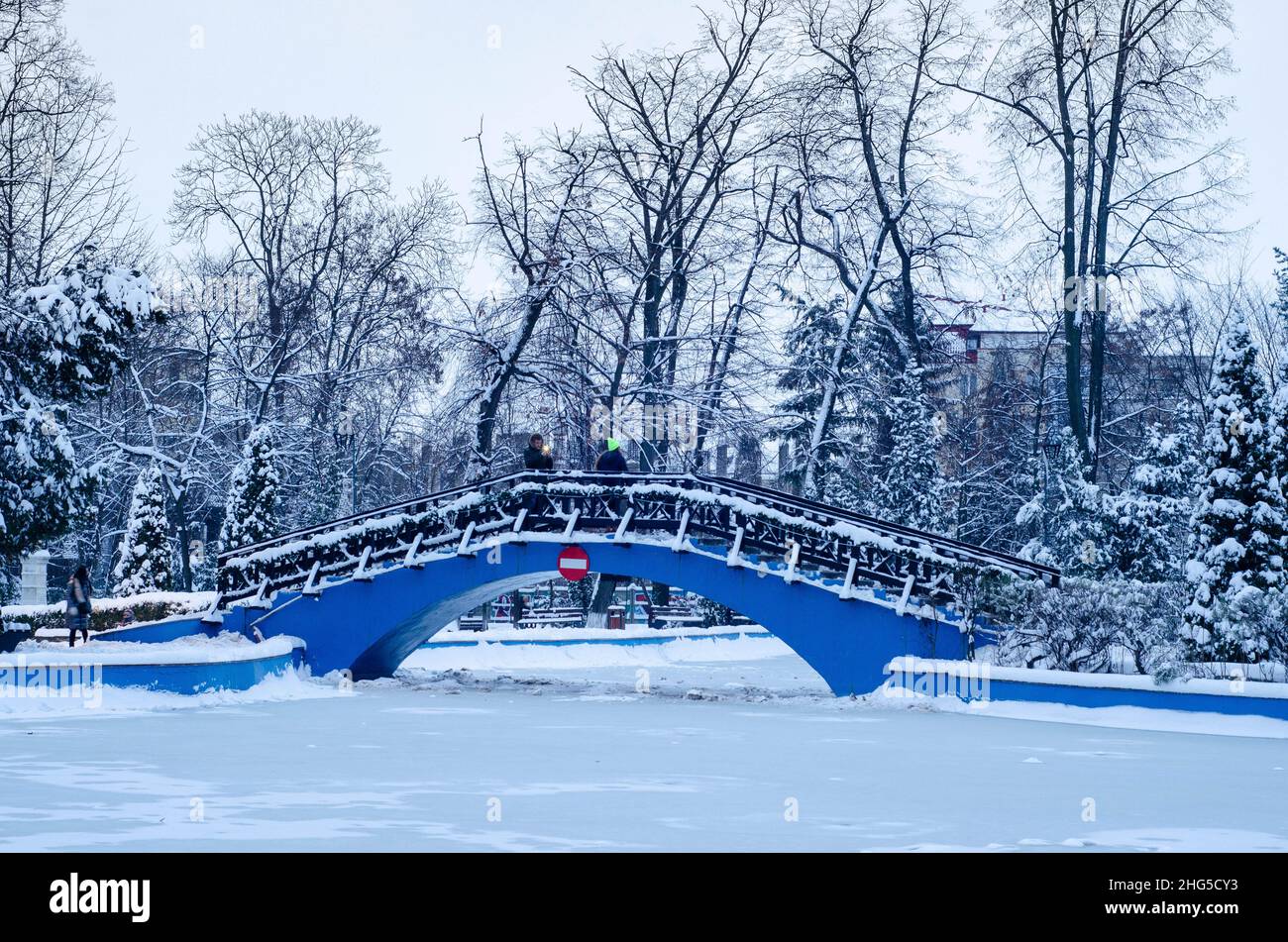 Frozen trees in european park hi-res stock photography and images - Alamy