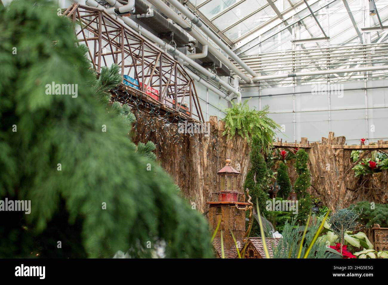 Model train crossing a bridge made of sticks in a greenhouse Stock ...