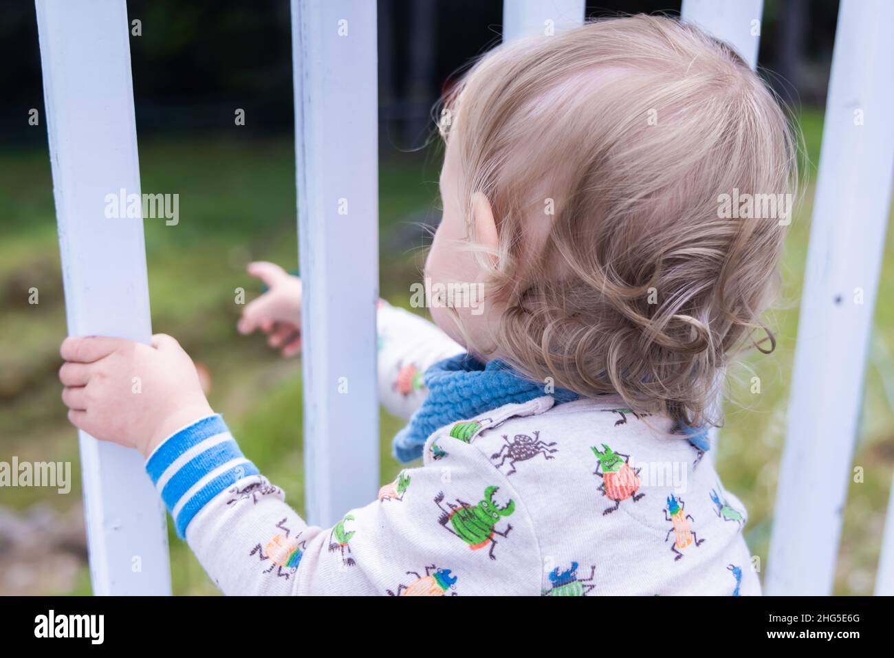 Inquisitive toddler is seen from behind with blonde curly hair ...