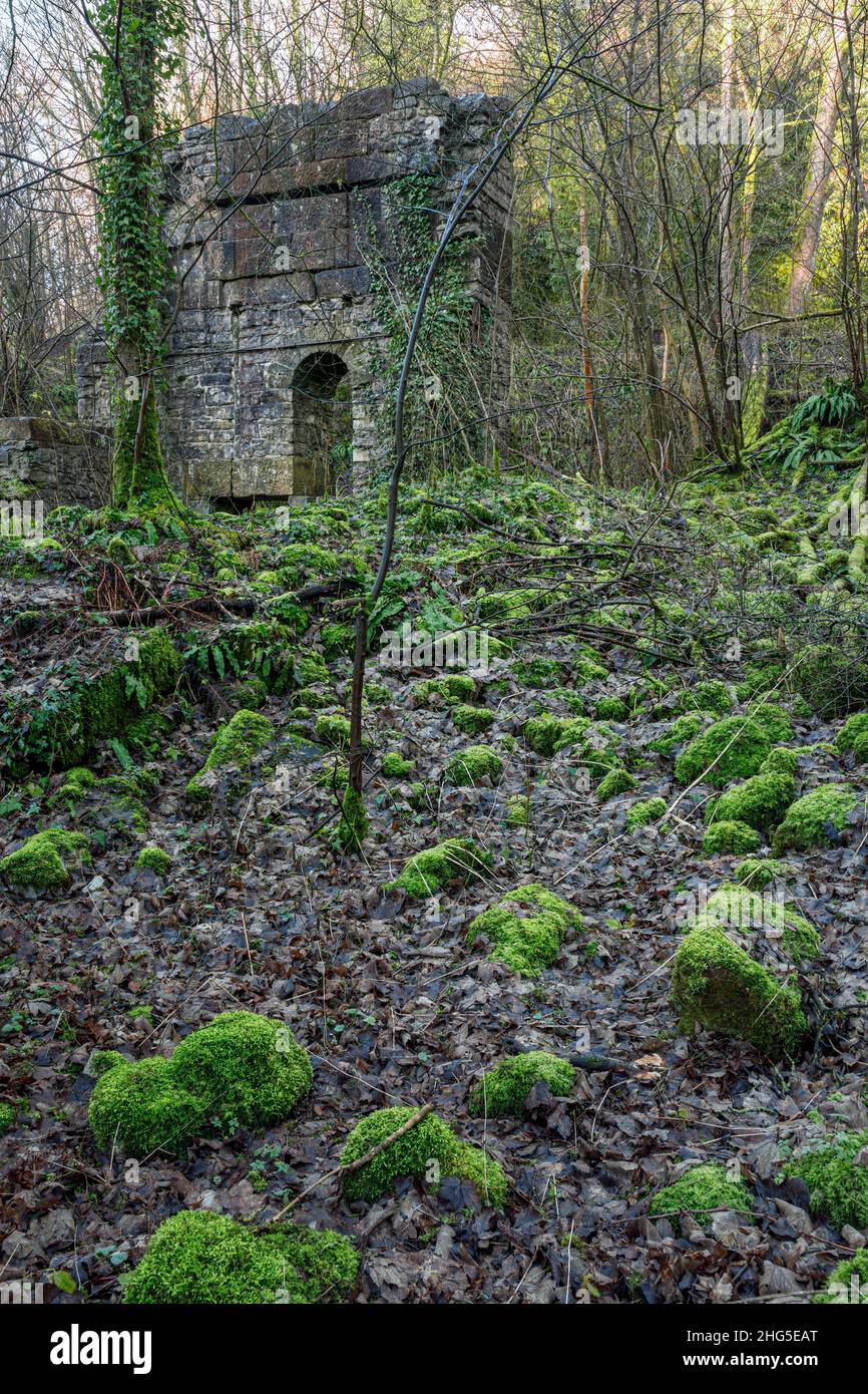 Remains of an 18th century engine house at Mandale Lead Mine, Lathkill ...