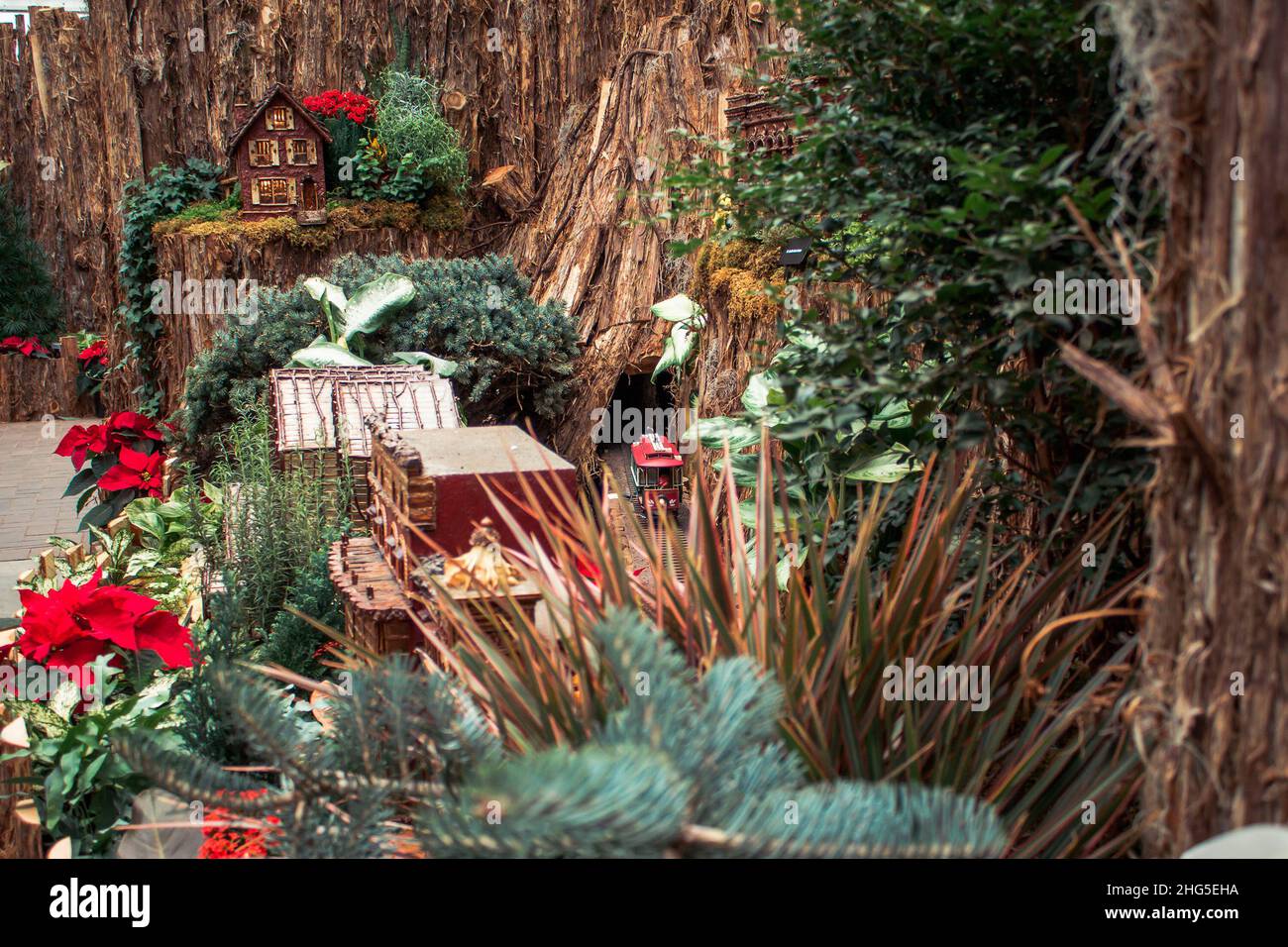 Red model trolley train running on a track through a natural display ...