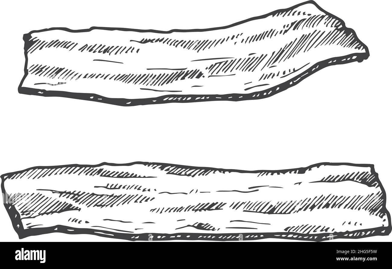 Bacon Pieces. Hand Drawn Sketch Pork Meat Vector Illustration. Natural ...