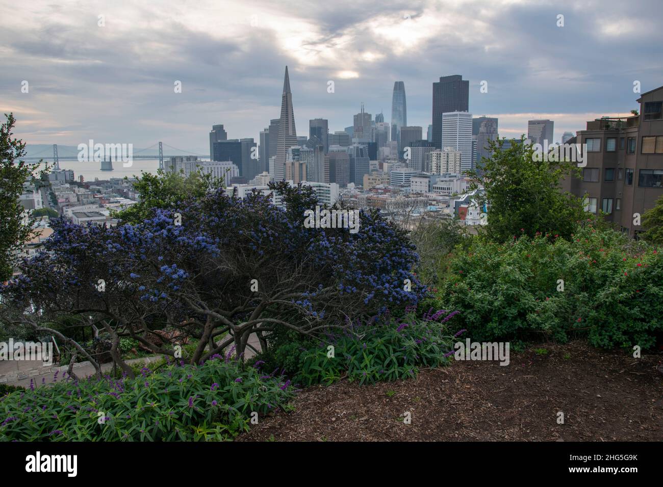 San Francisco's Ina Coolbrith Park provides some fantastic views of the ...