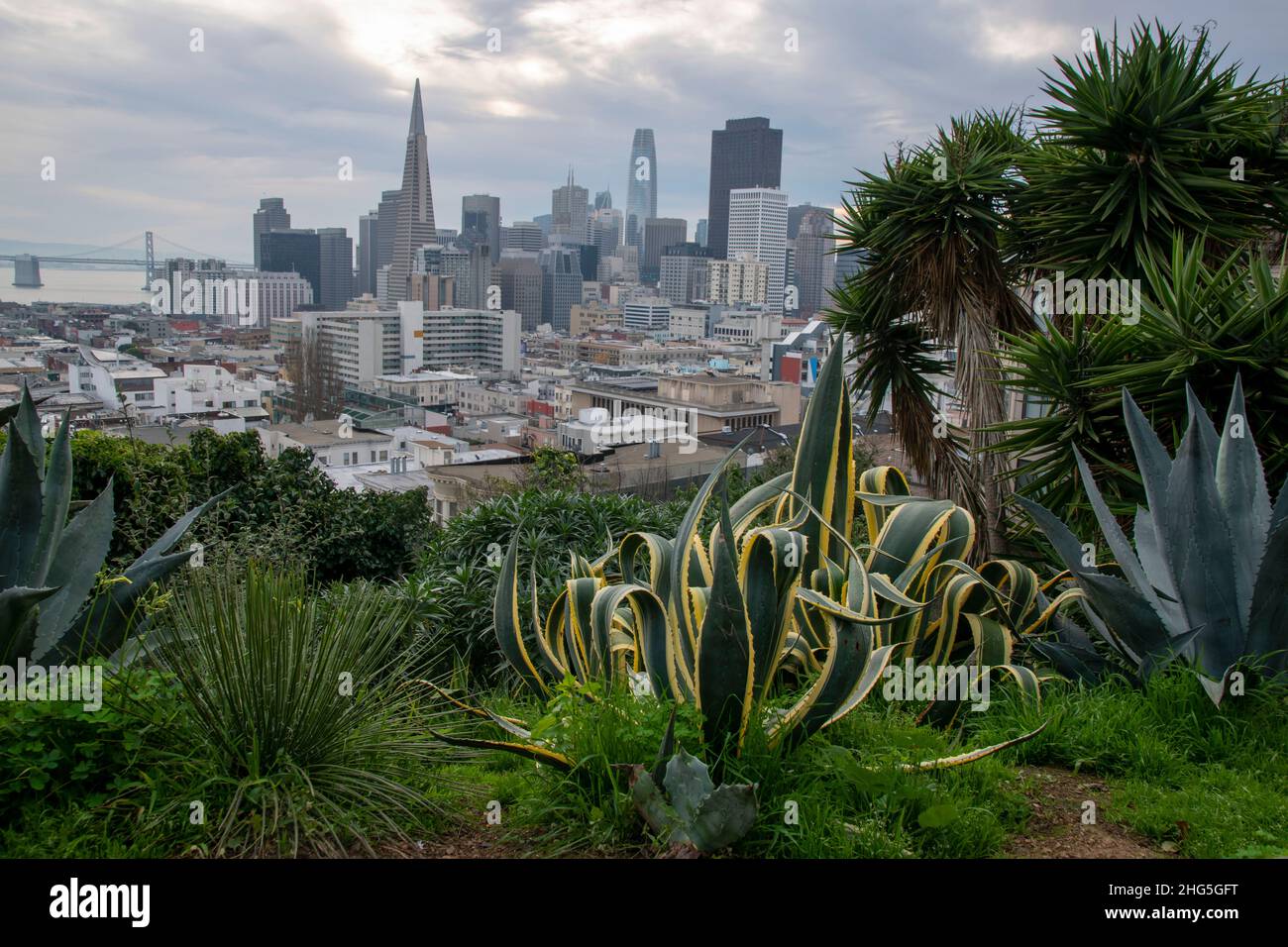 San Francisco's Ina Coolbrith Park provides some fantastic views of the ...