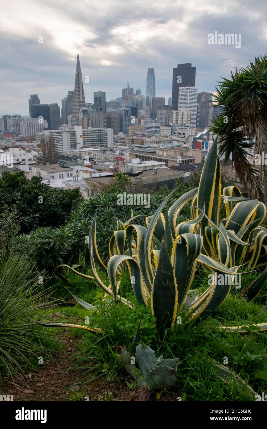San Francisco's Ina Coolbrith Park provides some fantastic views of the ...