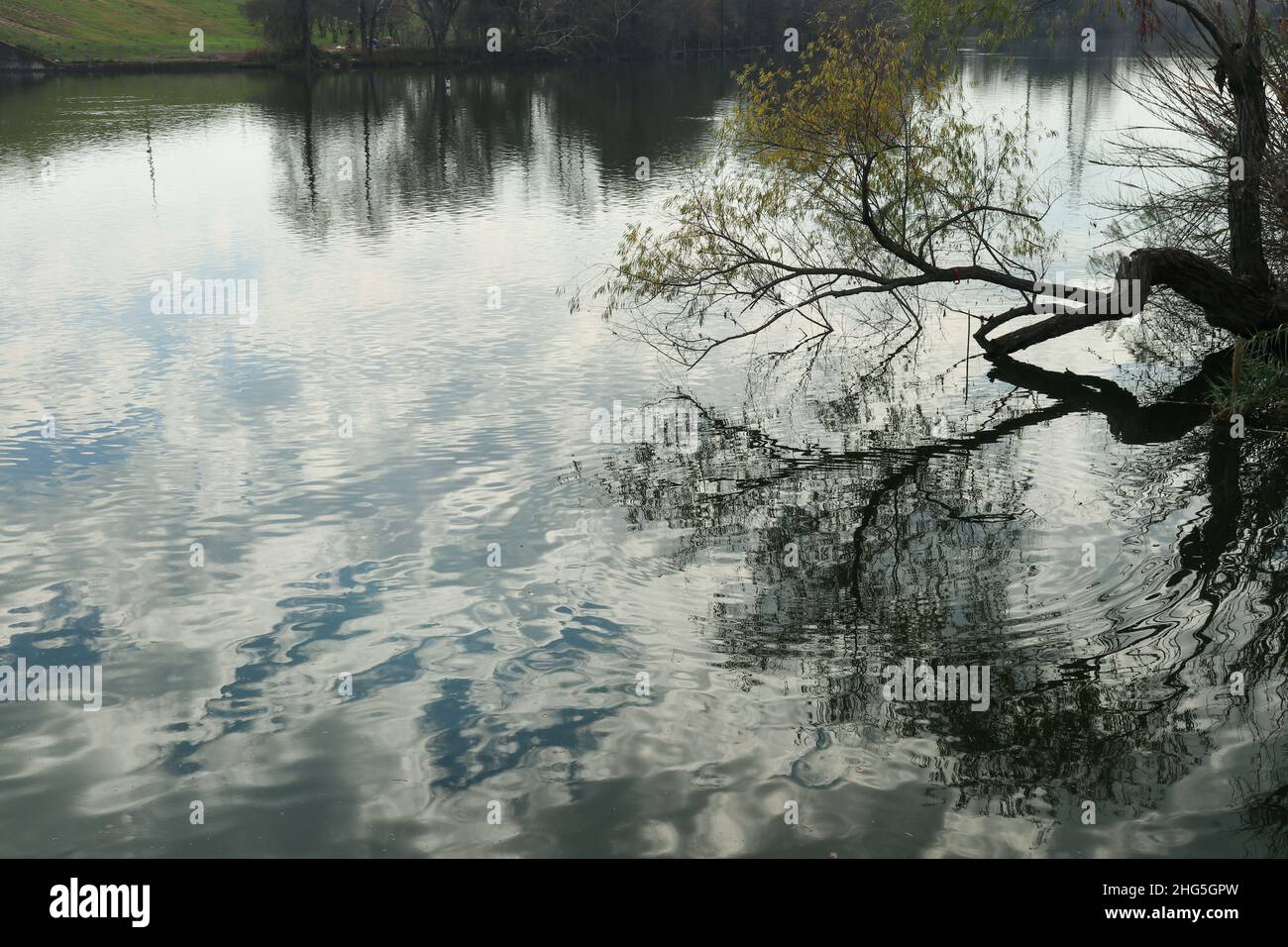 Lady bird lake austin hi-res stock photography and images - Alamy